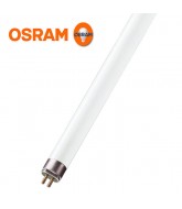 Fluorescent Tube