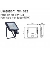 Flood Light